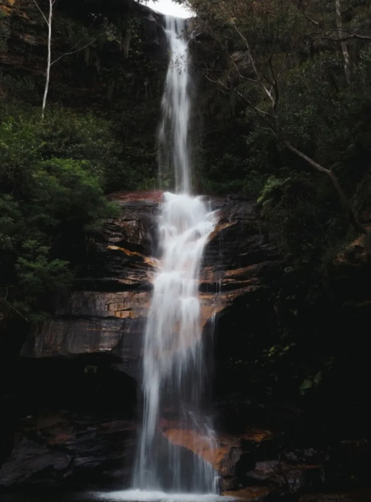Blue Mountains National Park